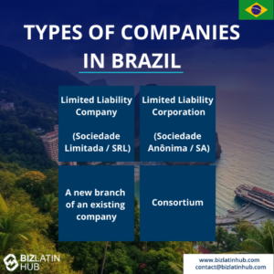 What are the main types of companies in Brazil?