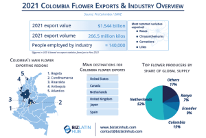 Colombia Flower Exports Break Record, Hit Milestone - Biz Latin Hub