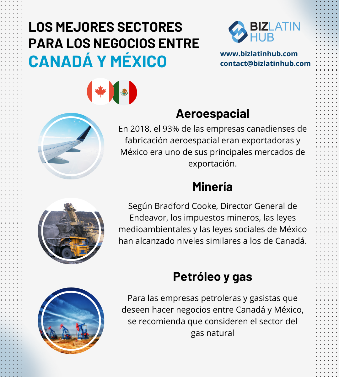 ¿Cómo formar una ONG en México? - Biz Latin Hub