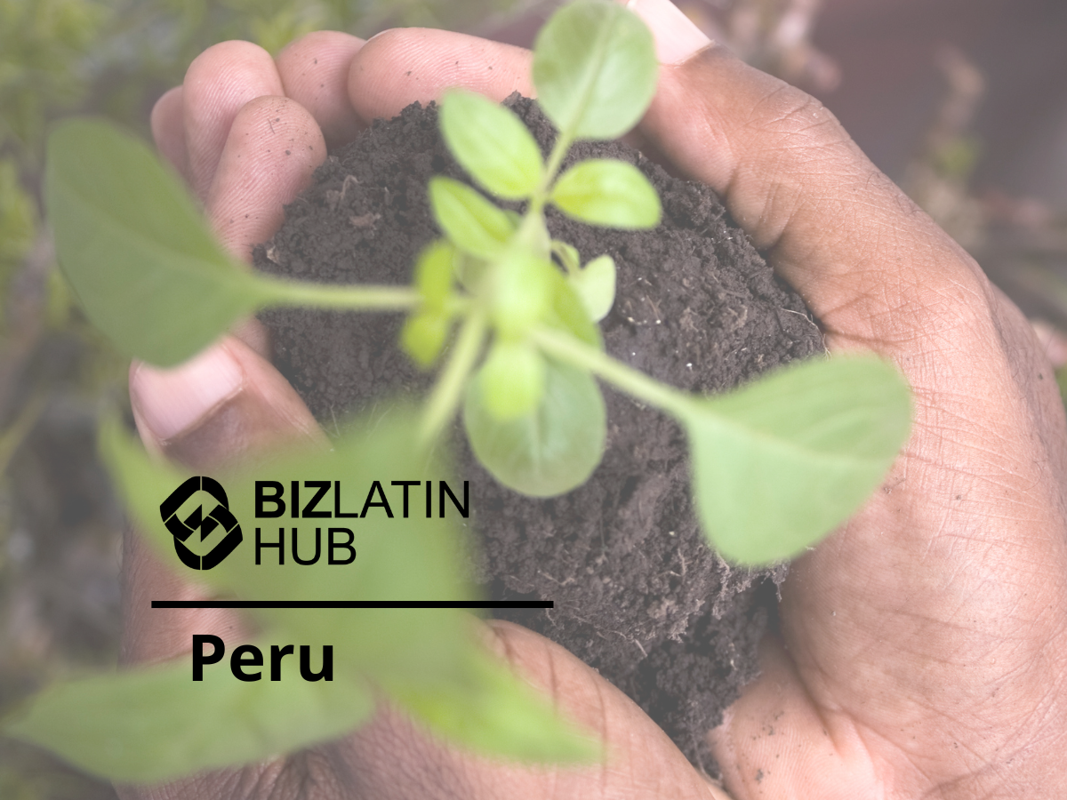5 Reasons why doing business in Peru is great in 2023