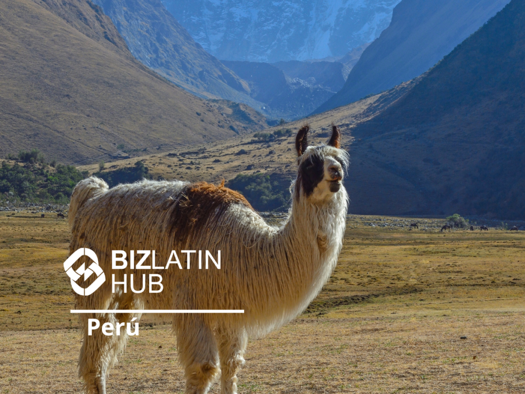 Why choose to do business in Peru?