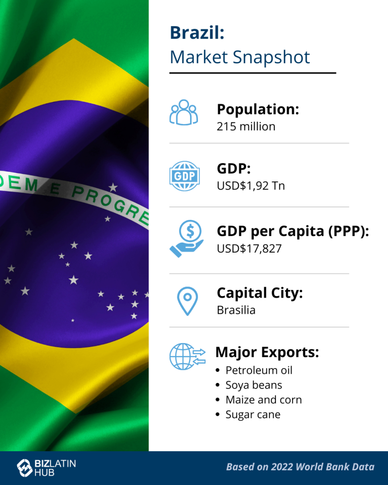 What are the main types of companies in Brazil?