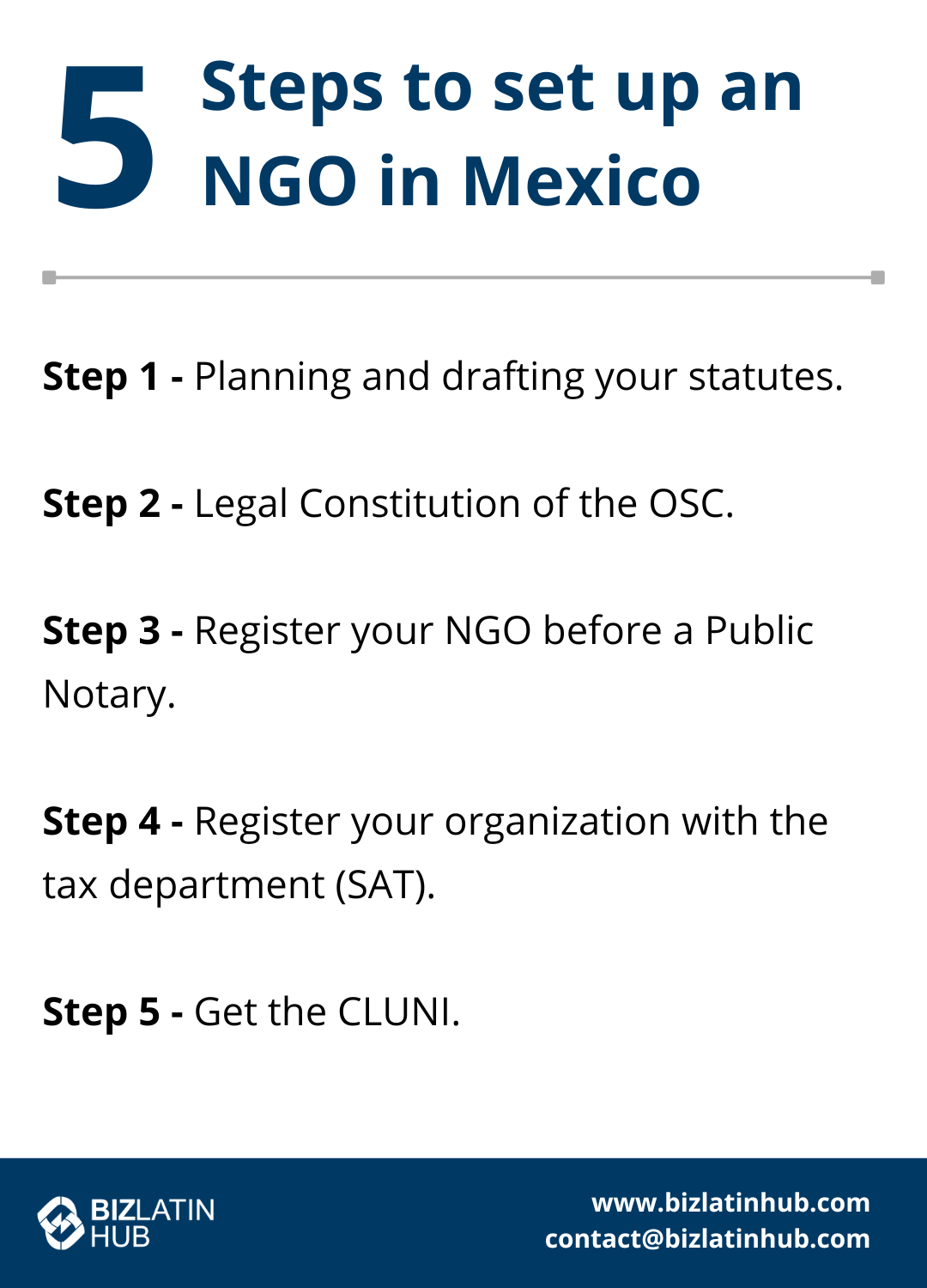 Cómo formar una ONG en México- Formar ONG en México - Biz Latin Hub