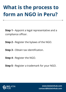 How to Form an NGO in Peru - Register Your Social Project
