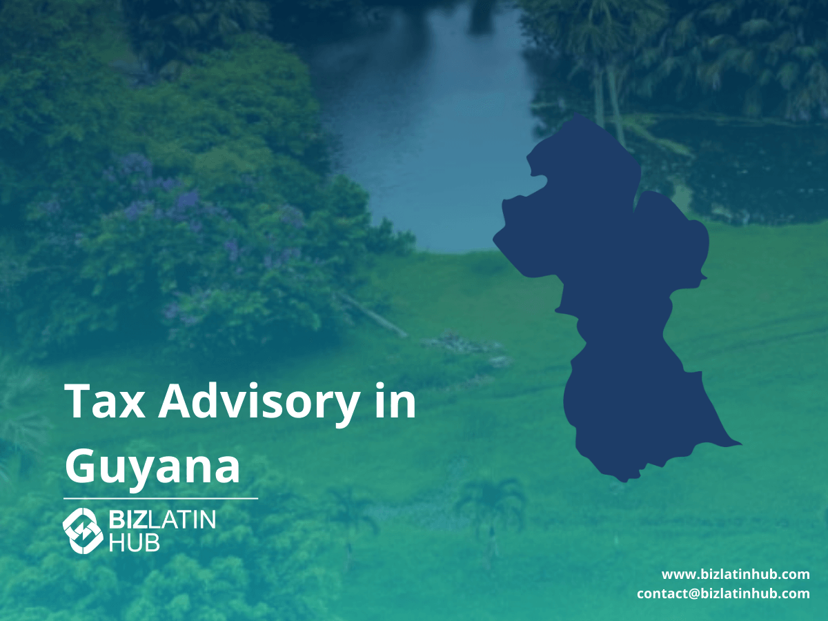 Types of Legal Entities in Guyana: Structures & Entities Guide - Biz ...