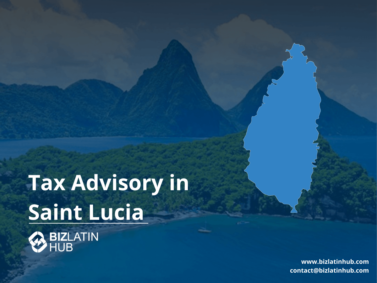 Legal Entity Types in Saint Lucia: A Corporate Guide