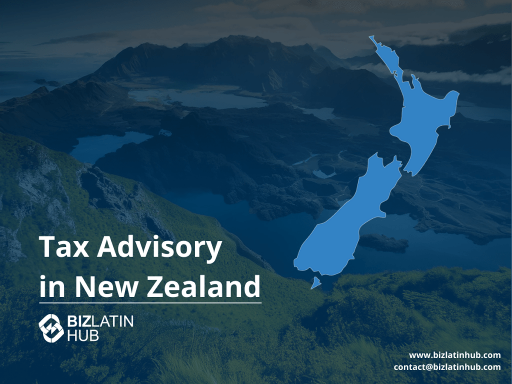 Business Structures in New Zealand: A Guide to Pros and Cons