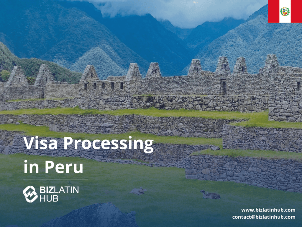Types of Visas in Peru: A Guide for Foreign Nationals
