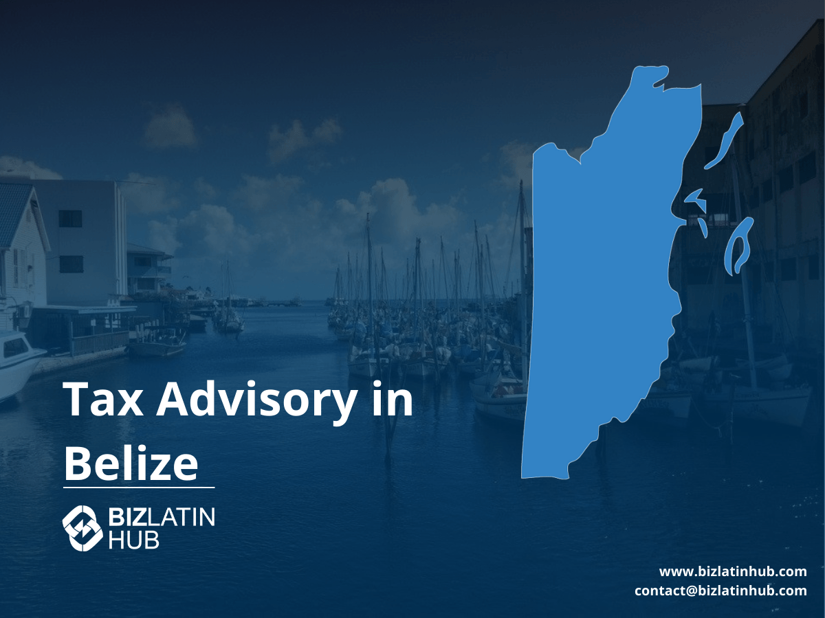 Types of Legal Entities in Belize: Structures & Incorporation Guide ...