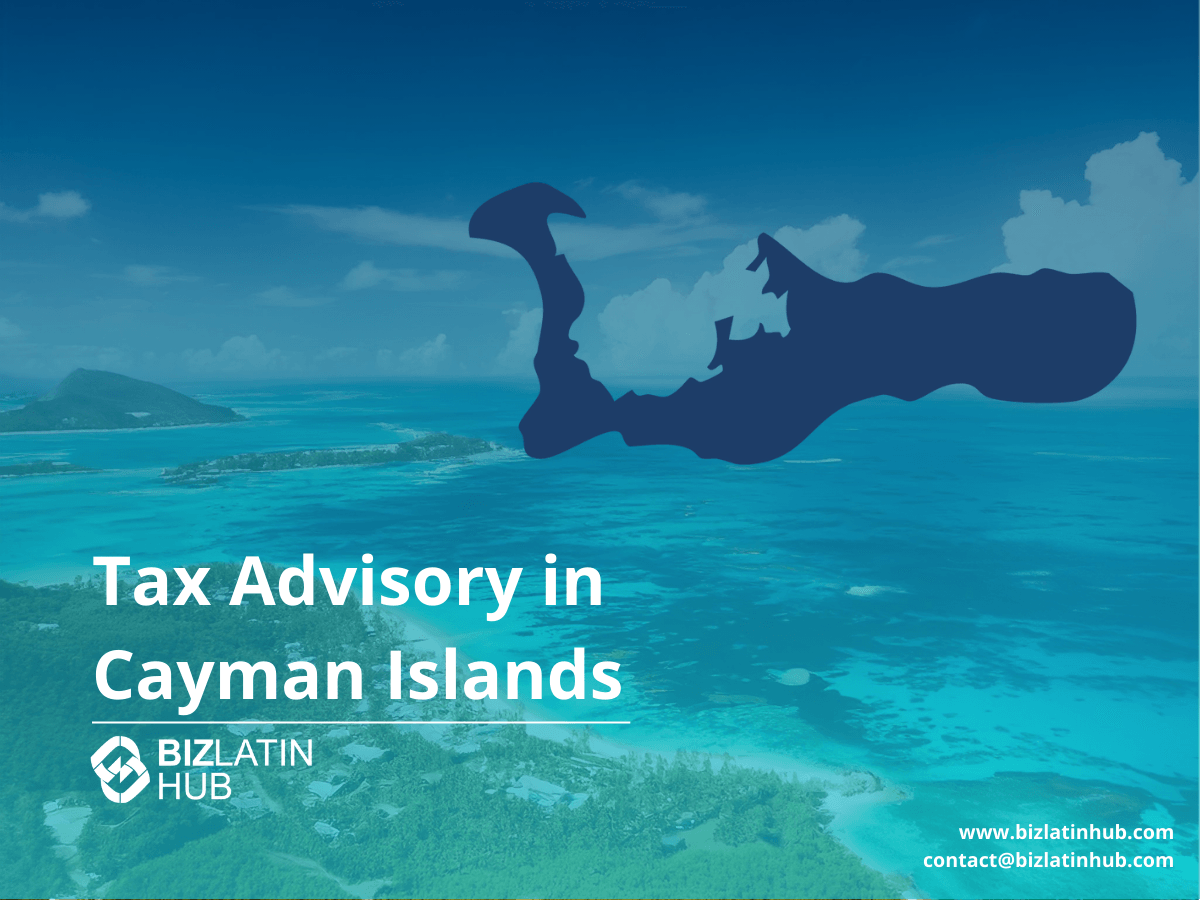 Legal Entity Types in the Cayman Islands: A Guide