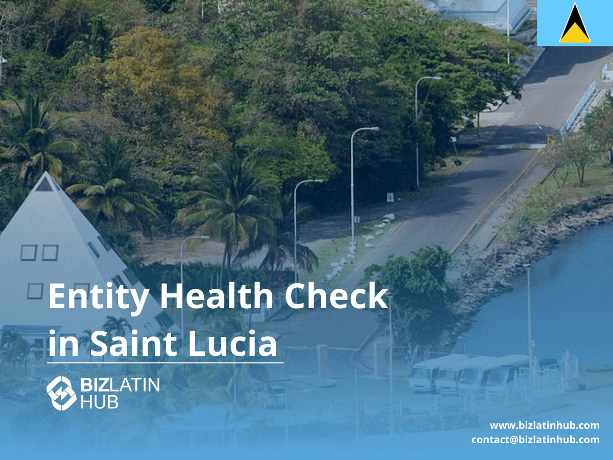 Entity Health Check in St. Lucia: A Corporate Guide