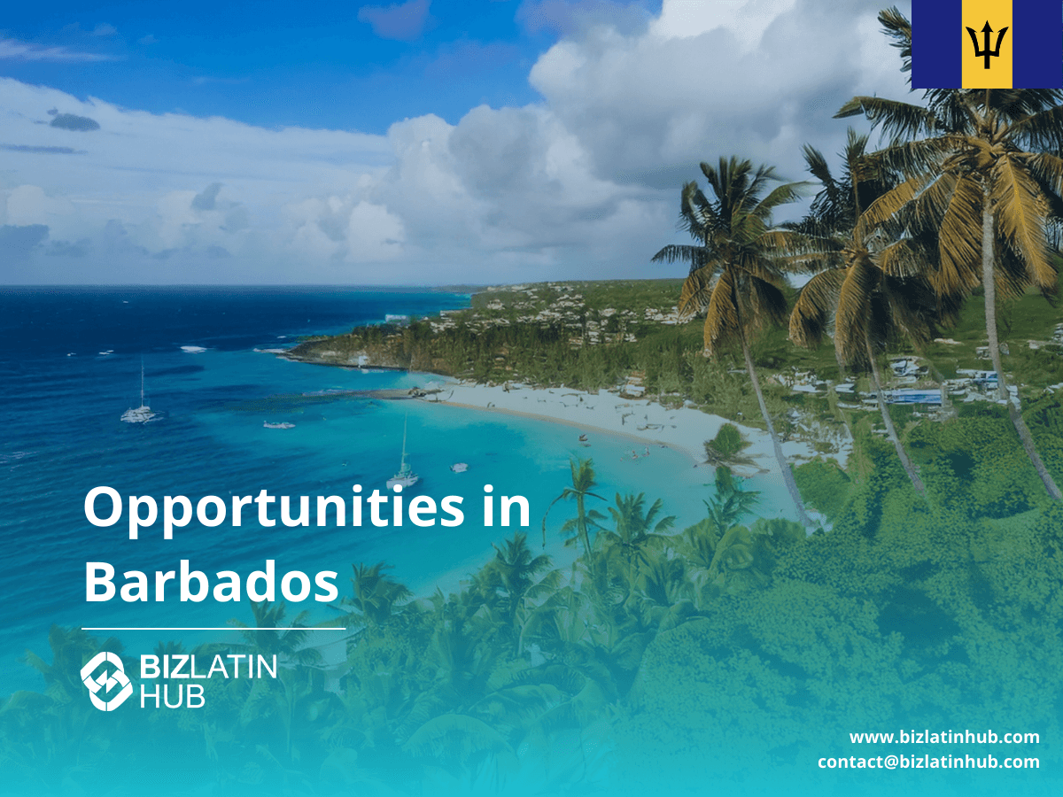 Barbados Business Guide: Why Do Business in Barbados?