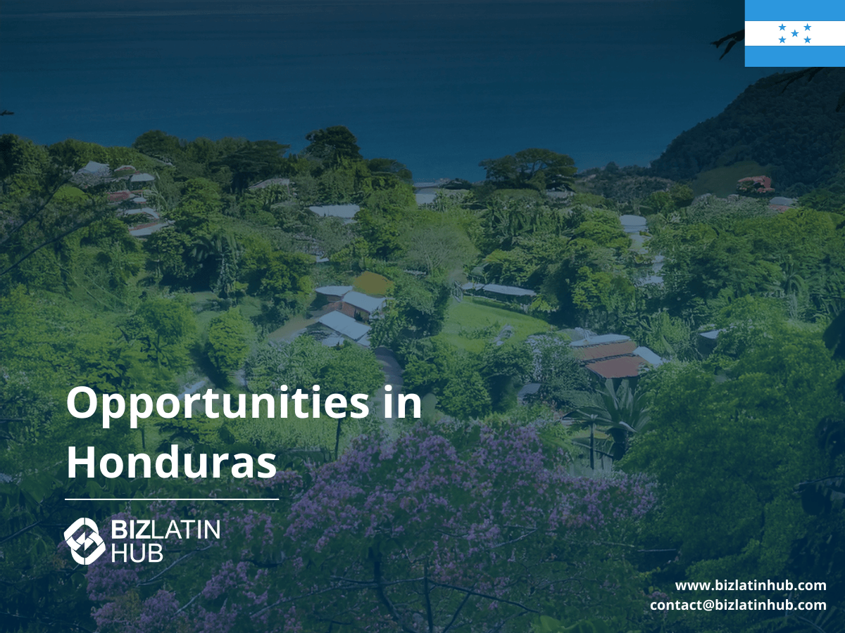 Doing Business in Honduras: A Market Entry Guide