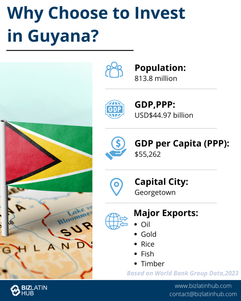 Types of Legal Entities in Guyana: Structures & Entities Guide - Biz ...