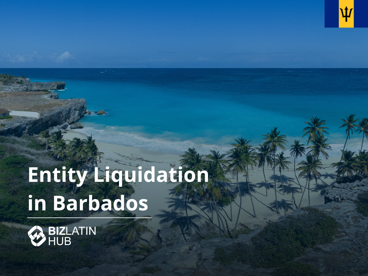 A Guide to Company Liquidation in Barbados - Biz Latin Hub
