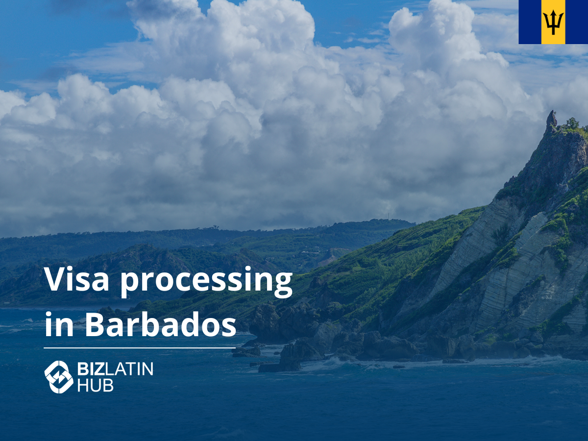 A Guide to Barbados Visas and Permits for Investors - Biz Latin Hub